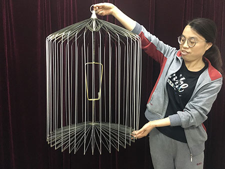 Appearing Bird Cage - 39 inch Steel, HUGE