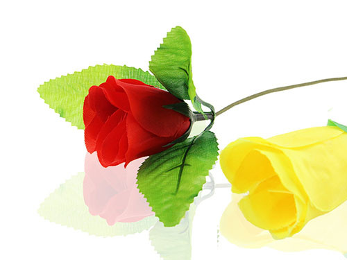 Color Changing Rose - Trick