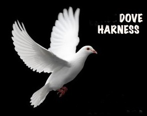 Barehanded Dove Production (Invisible Dove Harness)