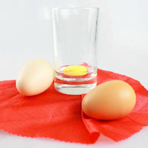Silk to Egg (With Yolk) - White/Brown - Magic Trick - China Magic Shop