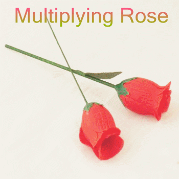 Multiplying Rose Set - Magic Trick - China Magic Shop