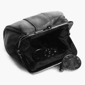 Coin Purse (Metal Frame)