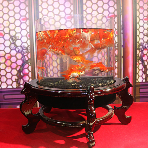 Deluxe Fish Tank - Magic Trick - China Magic Shop
