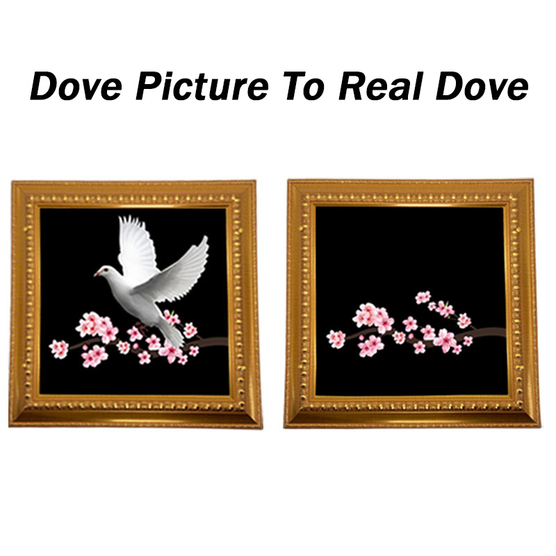 Dove Picture To Real Dove (Gold Frame) - Magic Trick - China Magic Shop