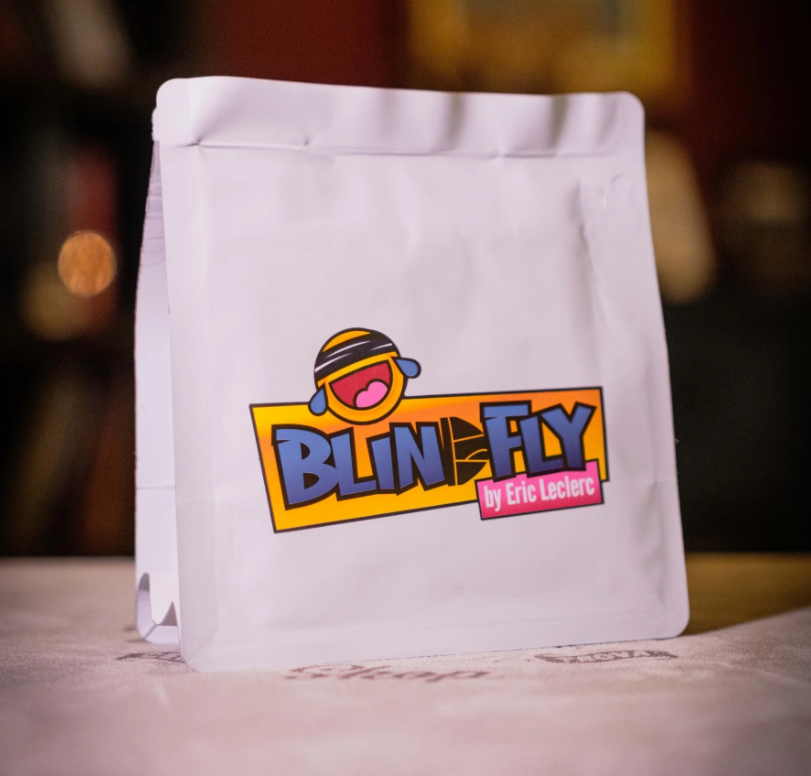 Blind Fly by Eric Leclerc