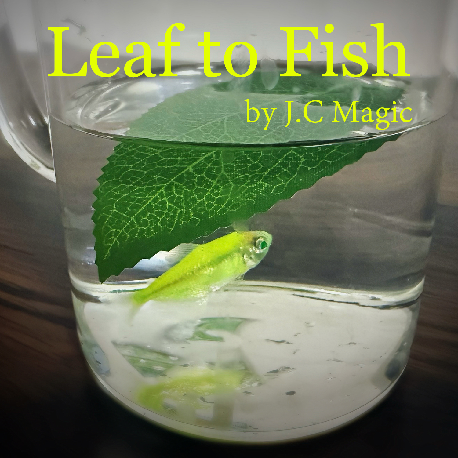 Leaf to Fish Magic Trick – Visually Transform Leaf into Goldfish