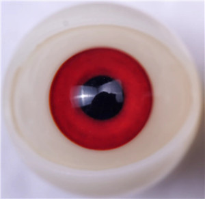 Sanmu doll シリコンヘッド単品 M16ボルト採用 ロリータラブドール 等身大 リアルドール 人形撮影 ライフサイズ セックス 大人のおもちゃ マネキン オナニー 女性モデル