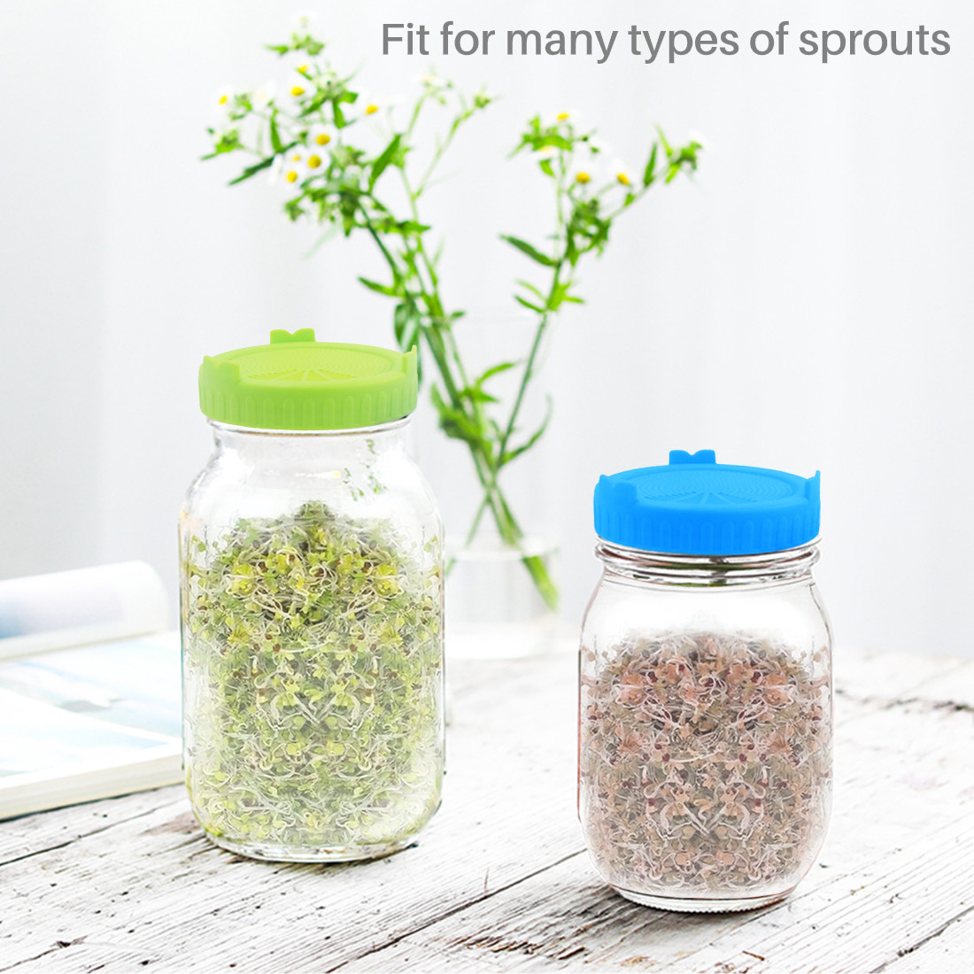 Kalevel 4pcs Sprouting Lids Plastic Sprout Jar Topper Germination Lids ...